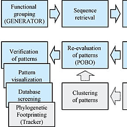 Different tools in POXO