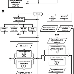 The architecture of CRSD