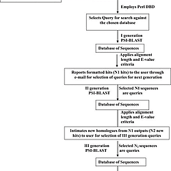 Flowchart of the Cascade PSI-BLAST web server