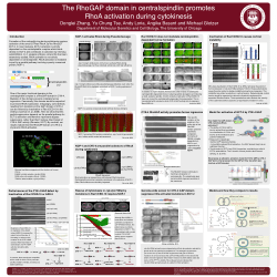 The RhoGAP domain in centralspindlin promotes RhoA activation during ...