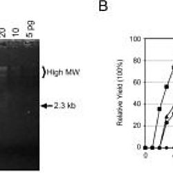 Sensitivity and yield of cHDA