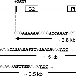 BMC Microbiology-6