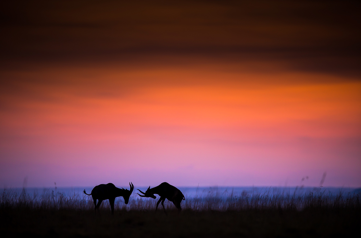 The Magic Of The African Sky | Africa's Photographer of the Year
