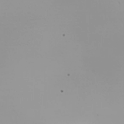 Urease-Powered Polydopamine Nanomotors for Intravesical Therapy of ...