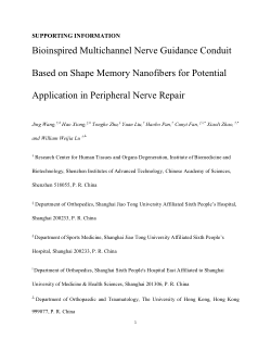 Item - Bioinspired Multichannel Nerve Guidance Conduit Based on Shape ...