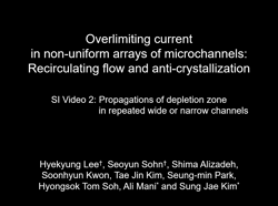 Overlimiting Current in Nonuniform Arrays of Microchannels: Recirculating Flow and ...