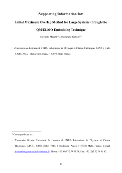 Initial Maximum Overlap Method for Large Systems by the Quantum Mechanics/Extremely Localized ...