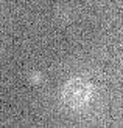 Lipid Exchange Envelope Penetration (LEEP) of Nanoparticles for Plant ...