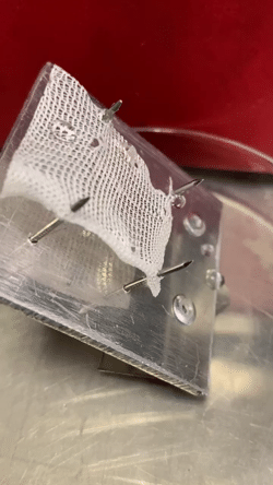 Surface Modification of Commercially Available PLA Polymer Mesh