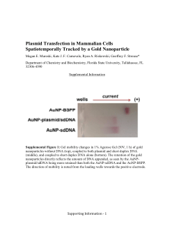 Plasmid Transfection in Mammalian Cells Spatiotemporally Tracked by a ...