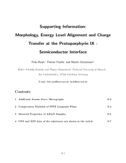 Morphology, Energy Level Alignment, and Charge Transfer at the ...