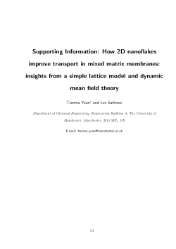 How 2D Nanoflakes Improve Transport in Mixed Matrix Membranes: Insights from a Simple Lattice ...