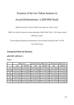 Fixation of the Two Tabun Isomers in Acetylcholinesterase: A QM/MM Study