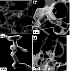ZnO Multipods, Submicron Wires, and Spherical Structures and Their ...