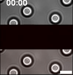 On-Demand Photoactivation of DNA-Based Motor Motion