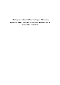 The Implementation and Potential Impact of Electronic Monitoring (EM ...