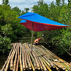 Making a bamboo raft (gakit)