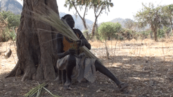 Broom-making among the Banea people