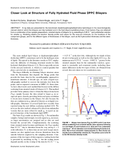 Closer Look at Structure of Fully Hydrated Fluid Phase DPPC Bilayers