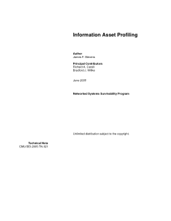 Information Asset Profiling