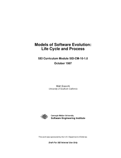 Models of Software Evolution: Life Cycle and Process