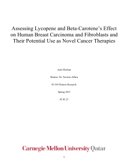 Assessing Lycopene and Beta-Carotene’s Effect on Human Breast Carcinoma ...