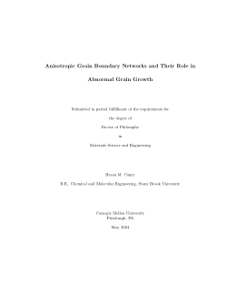 Anisotropic Grain Boundary Networks and Their Role in Abnormal Grain Growth