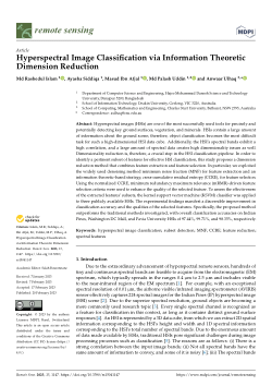 Hyperspectral Image Classification via Information Theoretic Dimension Reduction
