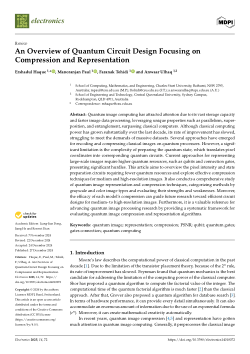 An overview of quantum circuit design focusing on compression and representation