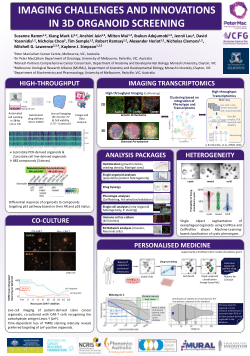 Imaging challenges and innovations in 3D organoid screening