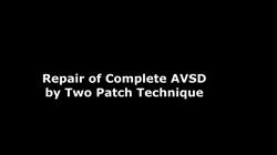 Repair of Complete Atrioventricular Septal Defect by Two Patch Technique
