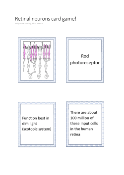 Retinal Neurons Card Game!