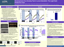 Development of an Anxiety Test in Zebrafish: The Light/ Dark Preference ...