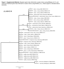 Image_1_Hidden Diversity of African Yellow House Bats (Vespertilionidae ...