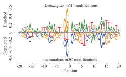 Image2_Transcriptome-Wide Annotation of m5C RNA Modifications Using Machine Learning.PDF
