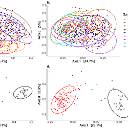 Image_4_Offspring Microbiomes Differ Across Breeding Sites in a ...