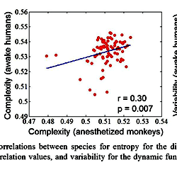 Image_3_Brain Map of Intrinsic Functional Flexibility in Anesthetized ...
