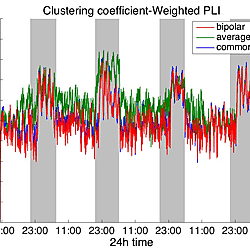 Image_7_Graph Theoretical Characteristics of EEG-Based Functional Brain ...