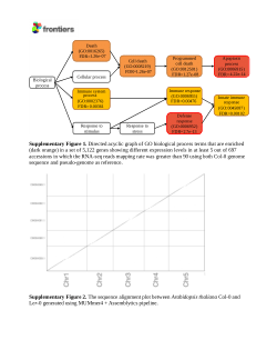 DataSheet_1_Complement Genome Annotation Lift Over Using a Weighted Sequence Alignment Strategy.docx