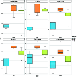 Image_1_Rewiring of Microbiota Networks in Erosive Inflammation of the Stomach and Small Bowel.JPEG