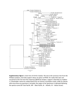 Table_2_A New Species of Osedax (Siboglinidae: Annelida) From ...