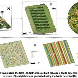 Image_1_A Cloud-Based Environment for Generating Yield Estimation Maps From Apple Orchards Using ...