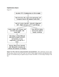Data_Sheet_1_Multicellular String-Like Structure Formation by ...