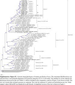 Data_Sheet_2_Metabolic Potential for Reductive Acetogenesis and a Novel ...