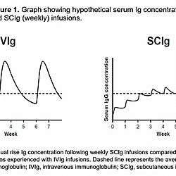 Image_1_Individualizing Therapy in CIDP: A Mini-Review Comparing the ...