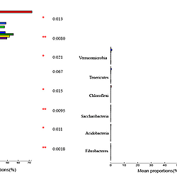 Image_1_The Succession of the Gut Microbiota in Insects: A Dynamic ...