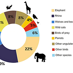 Image_4_Mapping the Research Landscape on Poaching: A Decadal ...