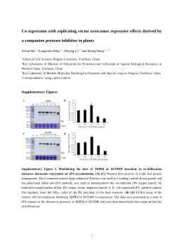 Data_Sheet_1_Co-expression With Replicating Vector Overcoming ...