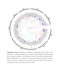 Image_2_Comprehensive Analysis of the SBP Family in Blueberry and Their ...