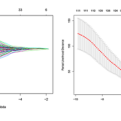 Image_2_Development and Validation of a Radiosensitivity Prediction Model for Lower Grade Glioma ...